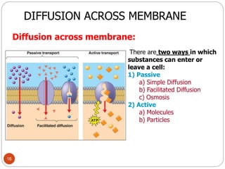 Diffusion Through A Membrane Powerpoint