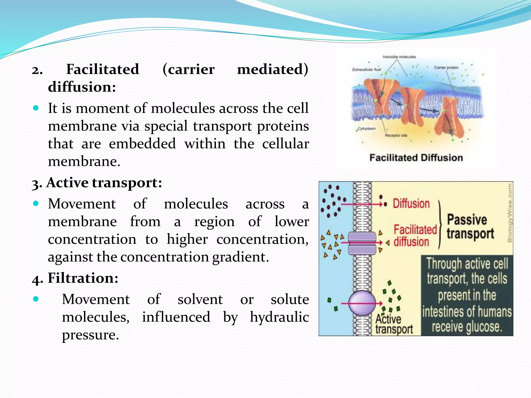 Diffusion principles in biological systems | PPTX