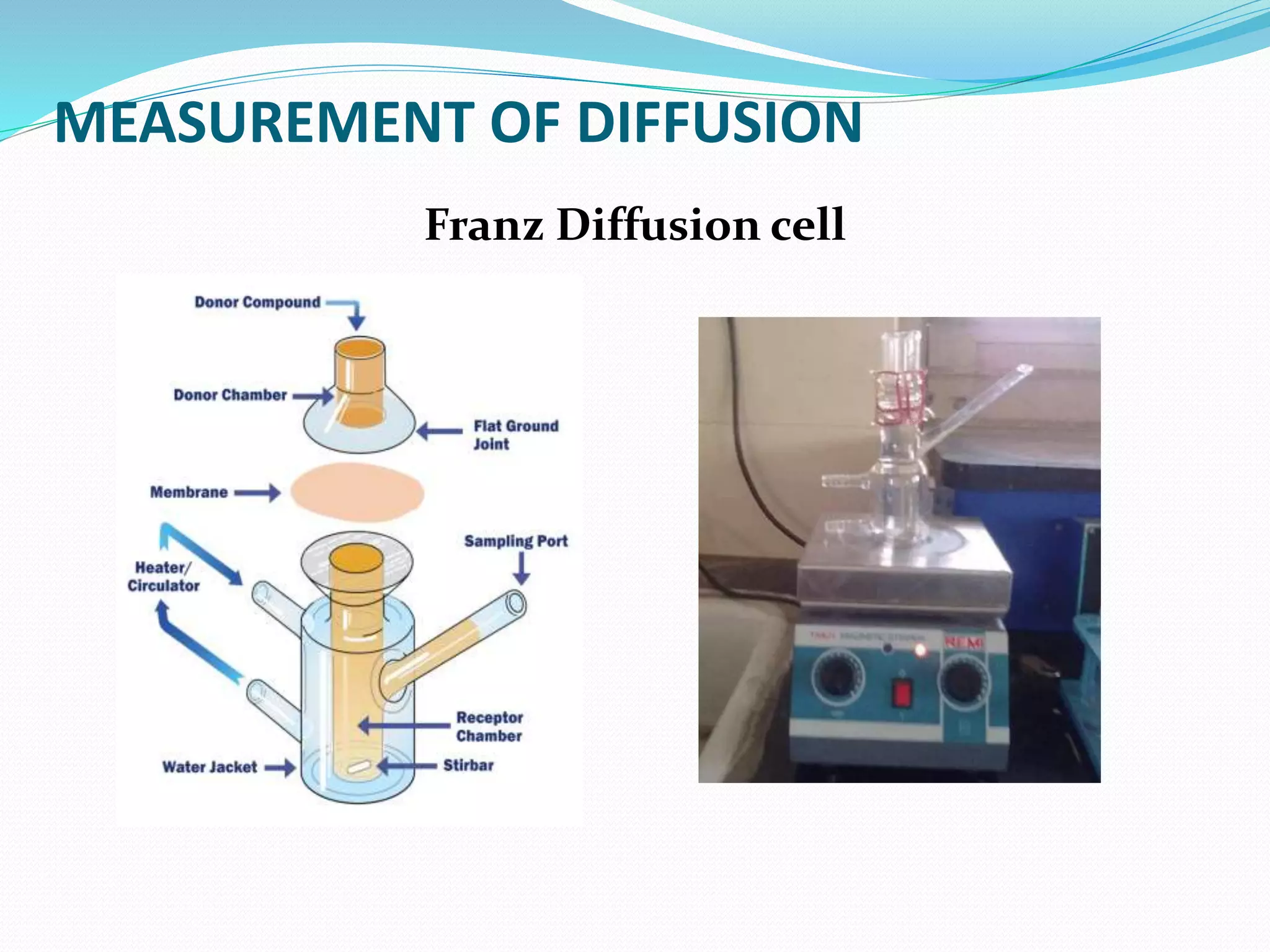 Diffusion principles in biological systems | PPTX