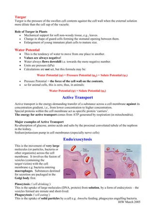 Diffusionrevision | PDF