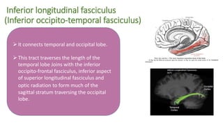 Diffusion tensor imaging .pptx
