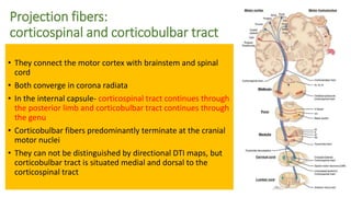 Diffusion tensor imaging .pptx