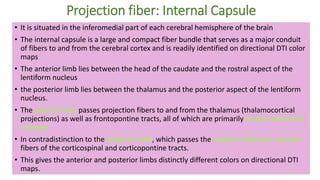 Diffusion tensor imaging .pptx
