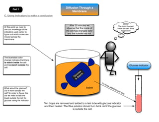 Lab Diffusion Through A Membrane