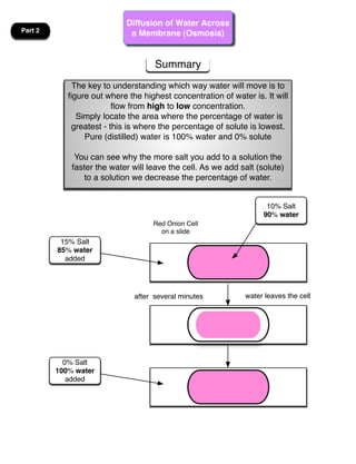 Lab Diffusion Through A Membrane