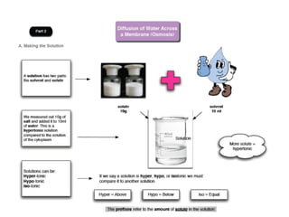 Diffusion Through A Membrane Review | PPT