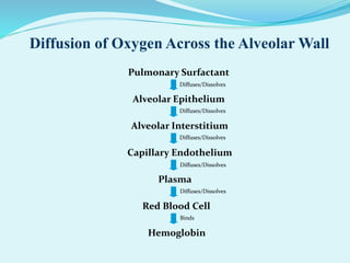 Diffusion through respiratory membrane | PPTX