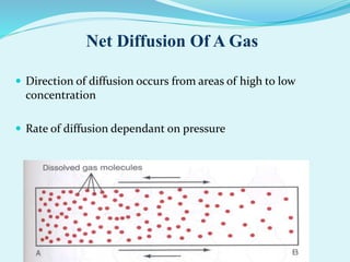 Diffusion through respiratory membrane | PPTX
