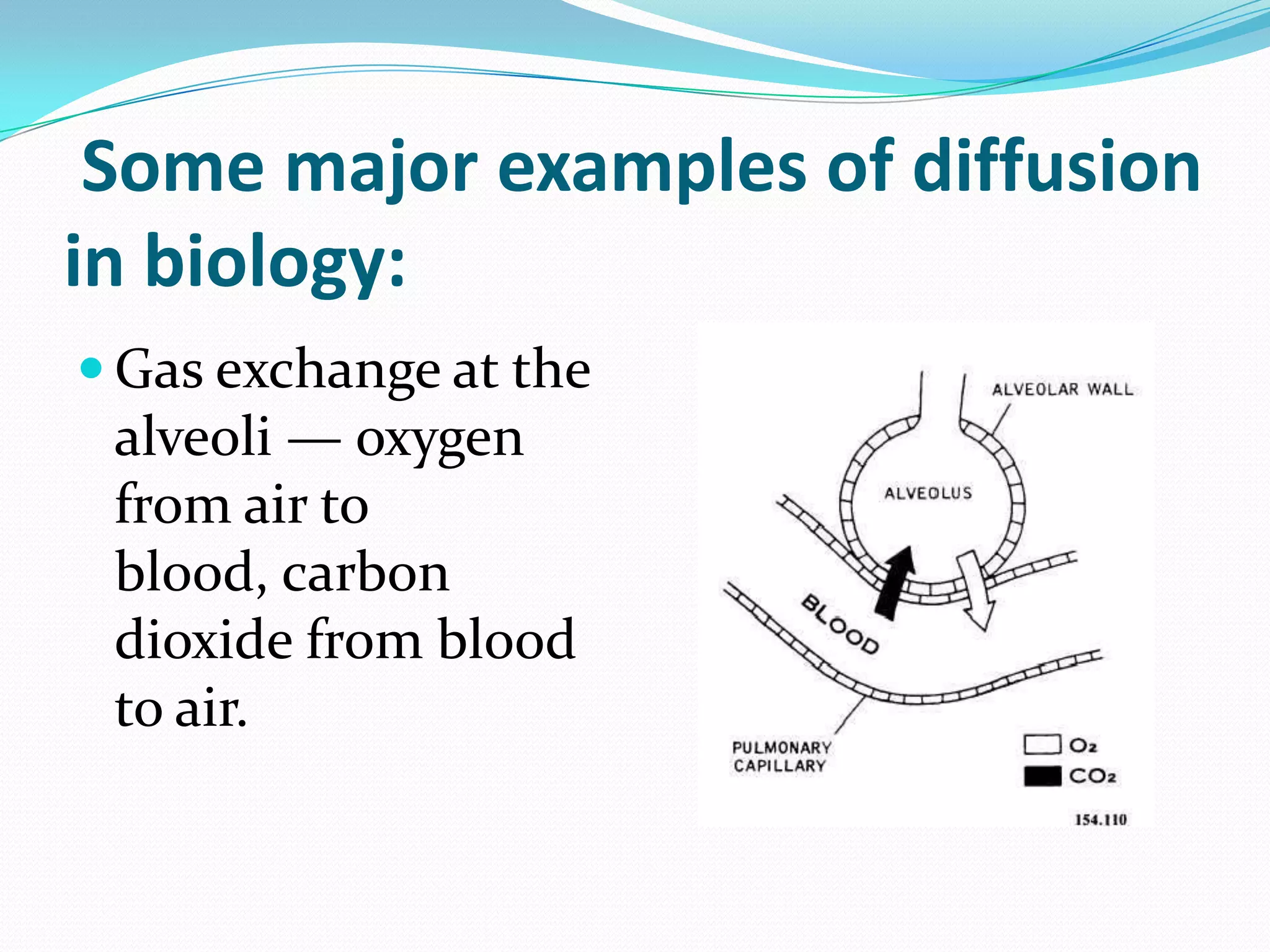 Diffusion unit class 1 | PPTX
