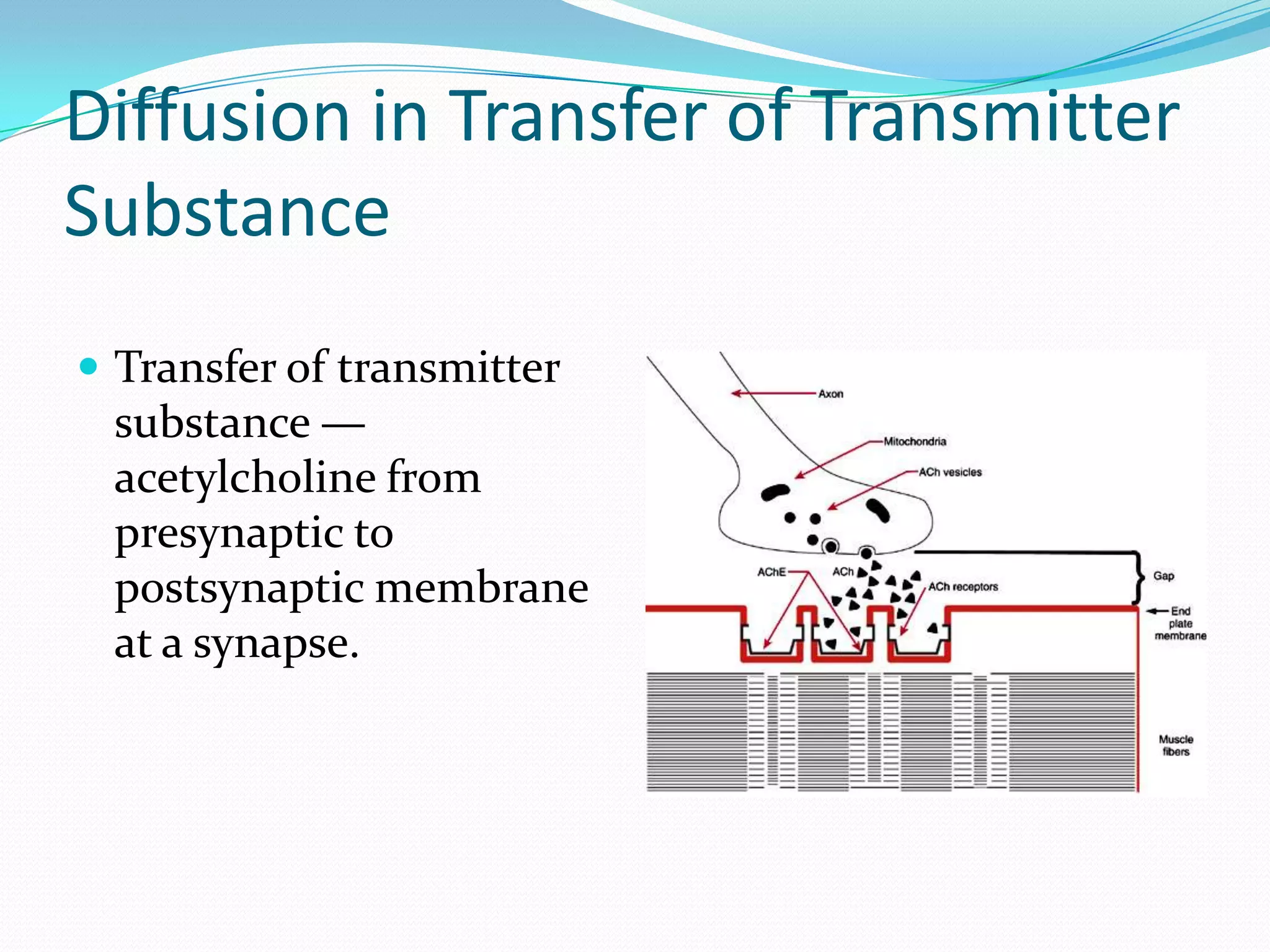 Diffusion unit class 1 | PPTX