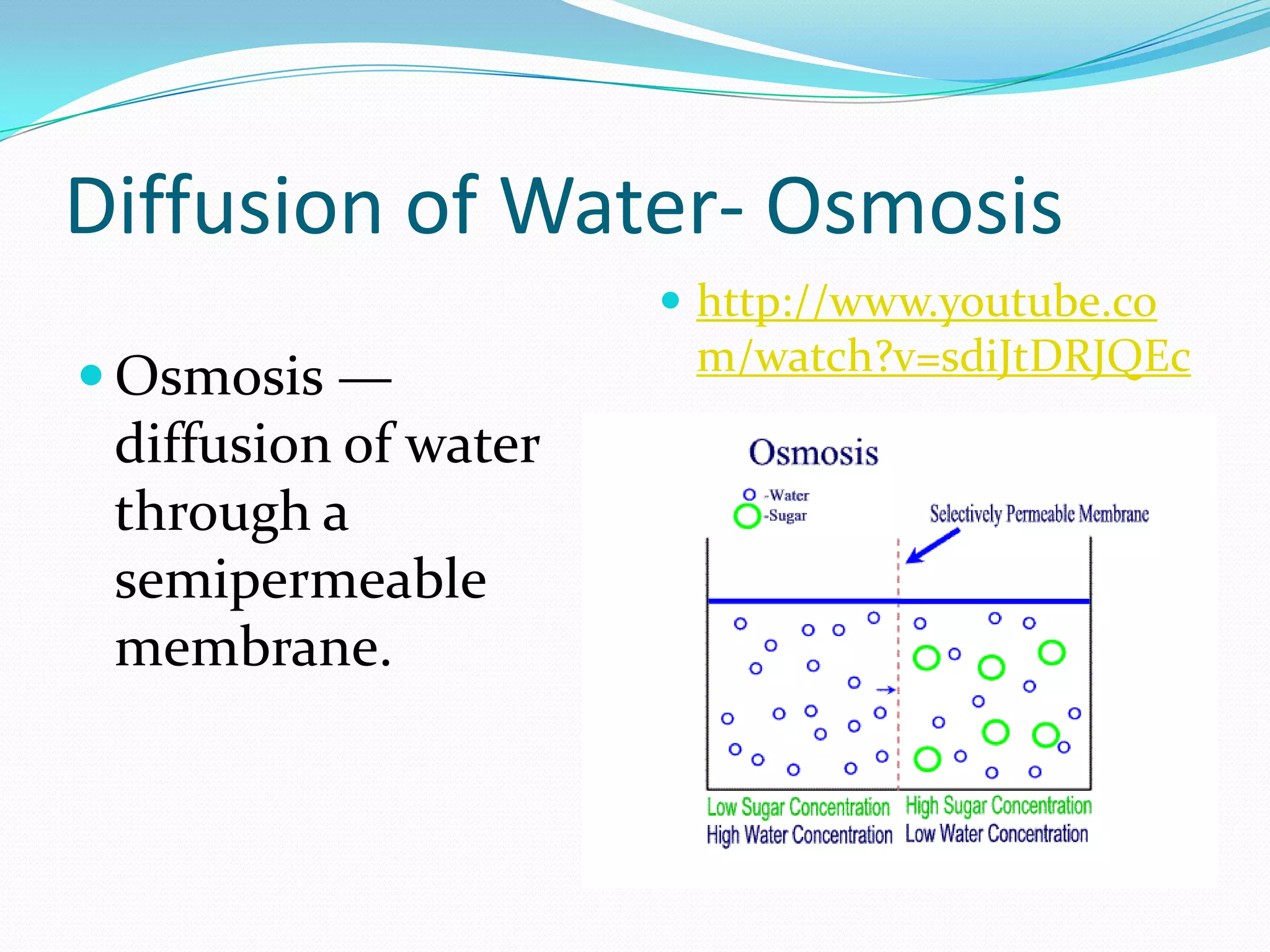 Diffusion unit class 1 | PPTX