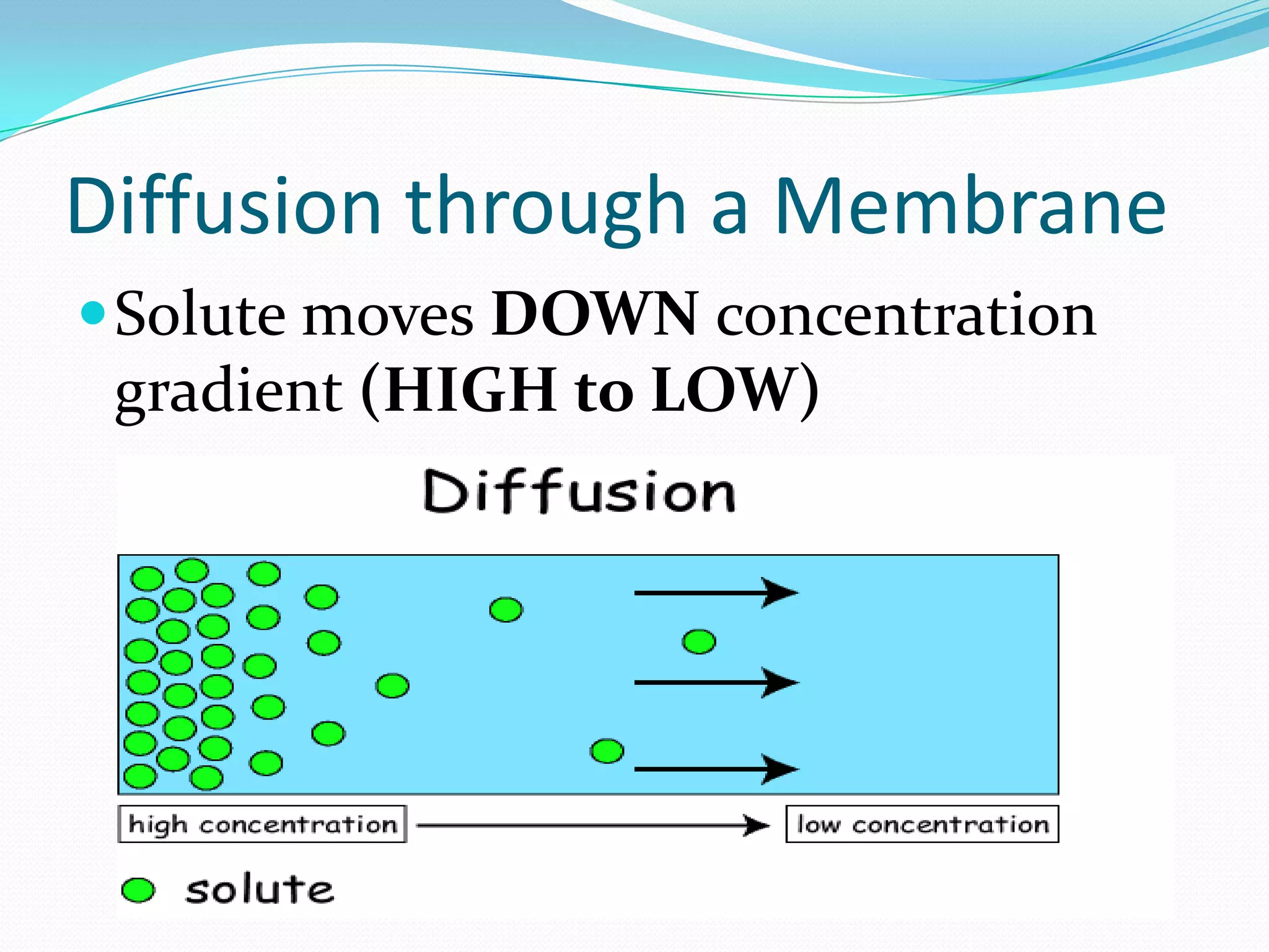 Diffusion unit class 1 | PPTX