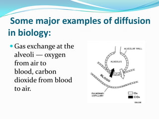 Diffusion unit class 1 | PPTX