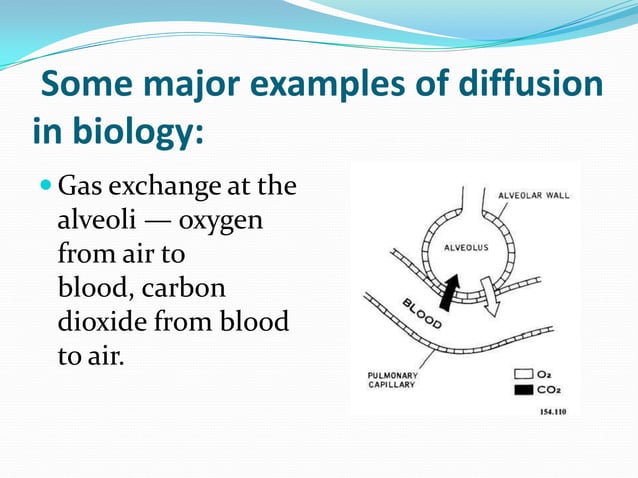 Diffusion unit class 1 | PPTX