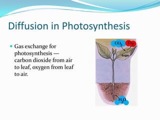 Diffusion unit class 1 | PPTX