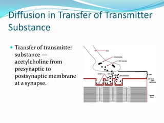 Diffusion unit class 1 | PPTX