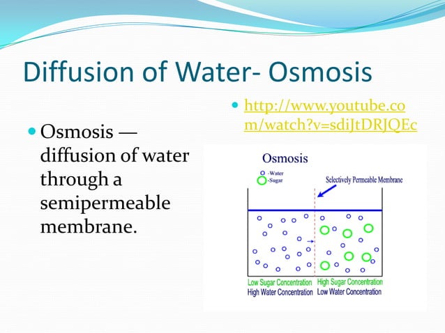 Diffusion unit class 1 | PPTX