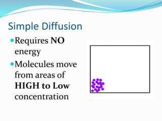 Diffusion unit class 1 | PPTX