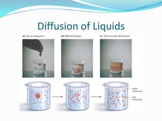 Diffusion unit class 1 | PPTX