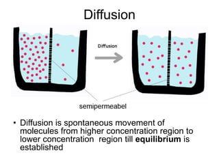 Diffusion v2 | PDF