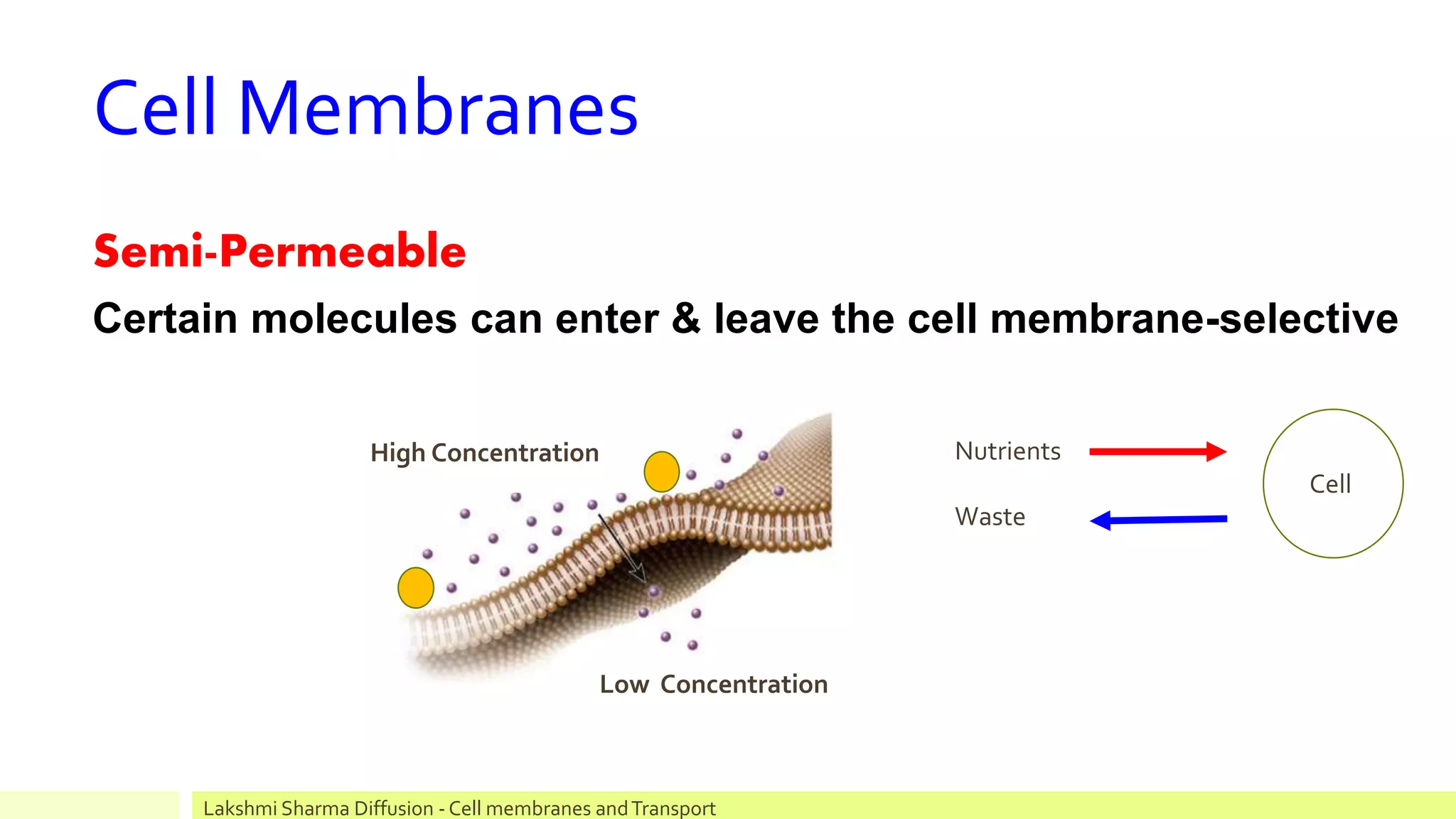 Diffusion - Year 8 Science Dr Lakshmi Sharma | PPTX