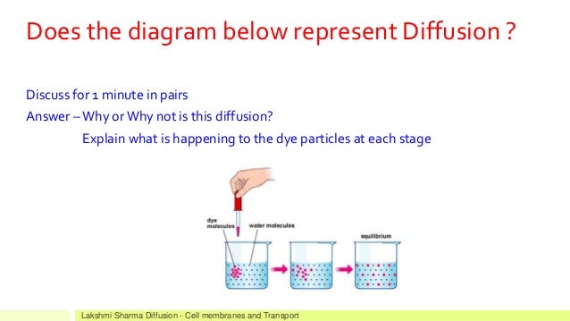 Diffusion Definition And How Does It Occur With Diagram Effects Of
