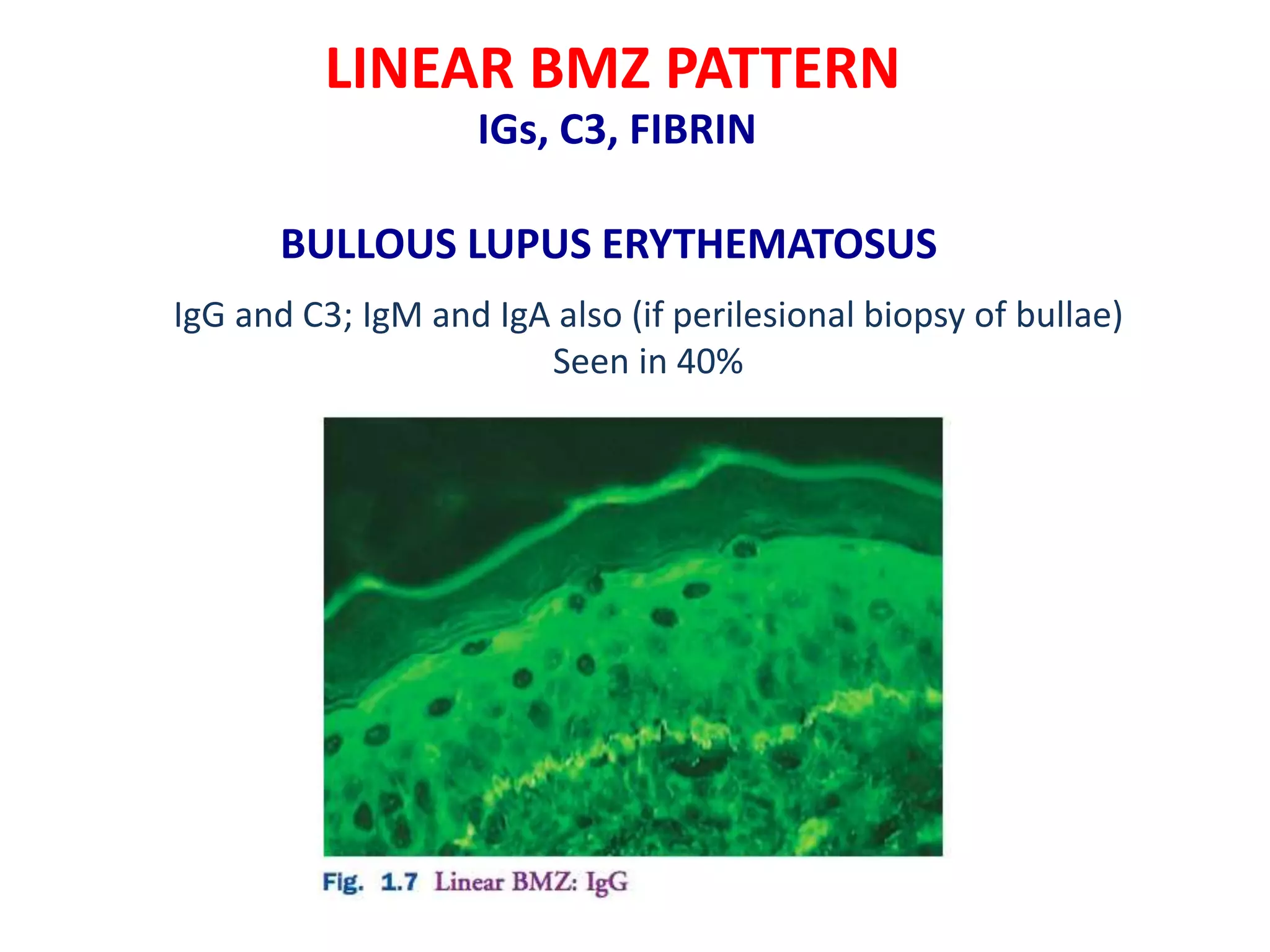 Direct Immunofluorescence in Dermatology | PPTX