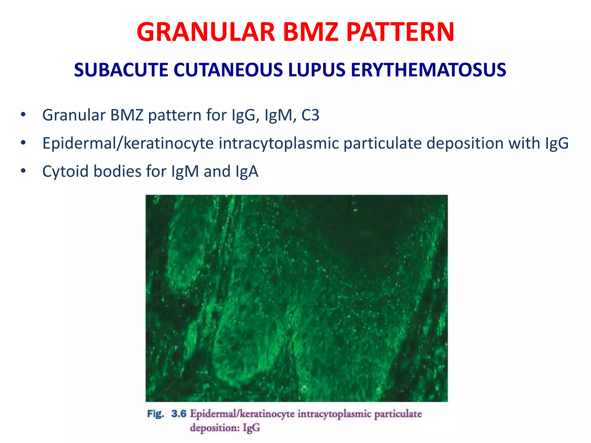 Direct Immunofluorescence in Dermatology | PPTX