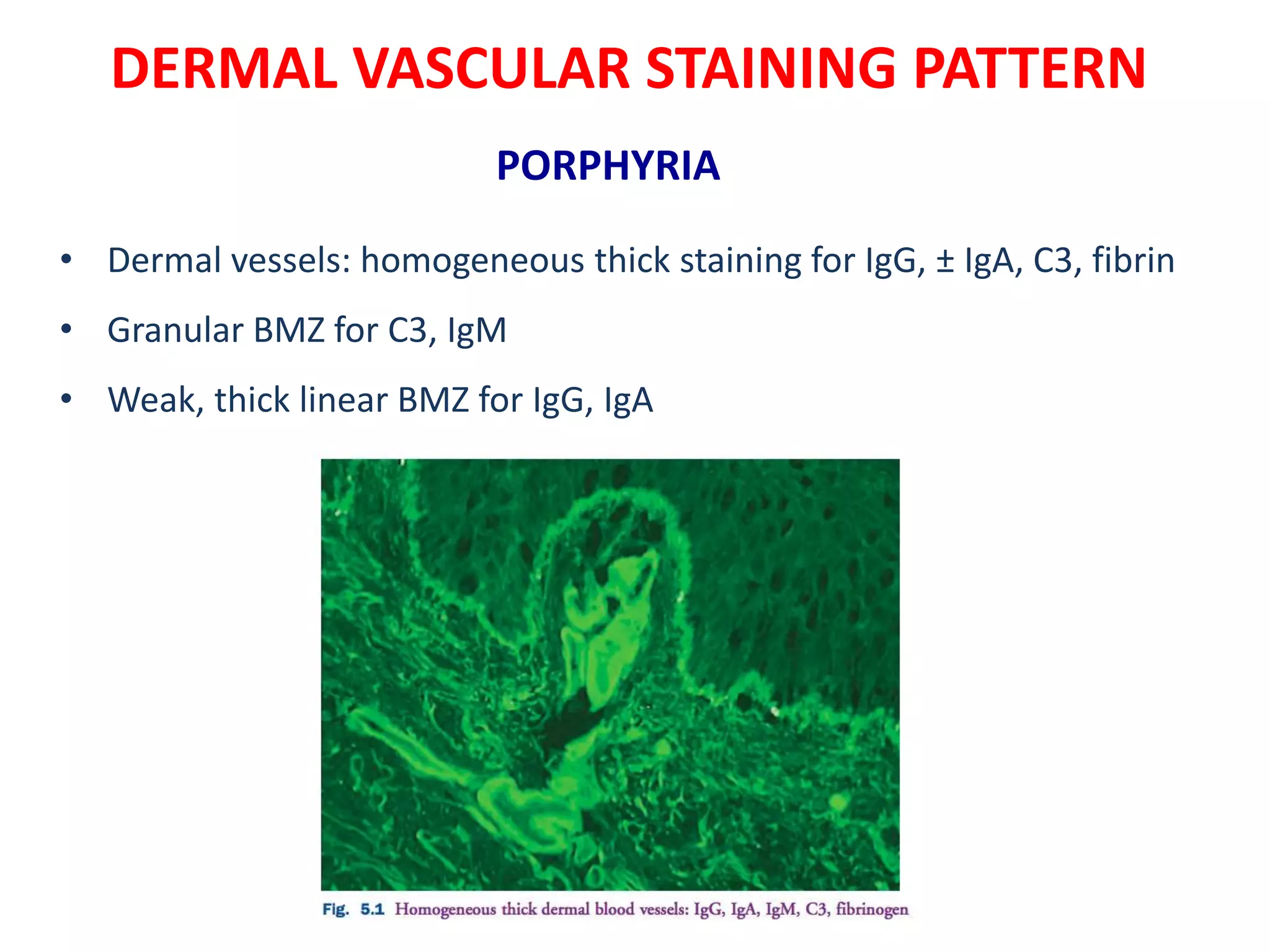 Direct Immunofluorescence in Dermatology | PPTX