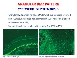 Direct Immunofluorescence in Dermatology | PPTX