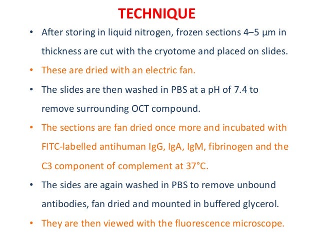 Direct Immunofluorescence in Dermatology
