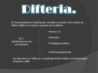 Difteria | PPTX