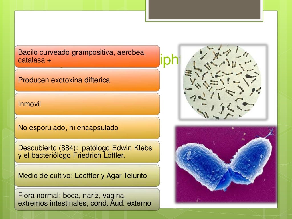 Difteria