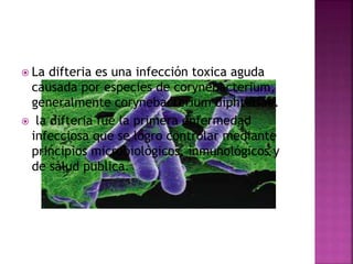 Difteria | PPTX