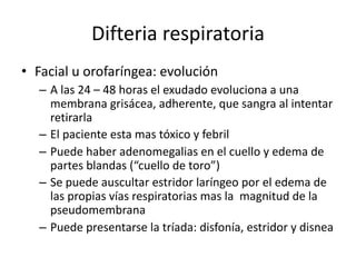 Difteria-conceptos-basicos.pdf