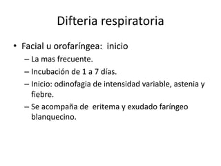 Difteria-conceptos-basicos.pdf