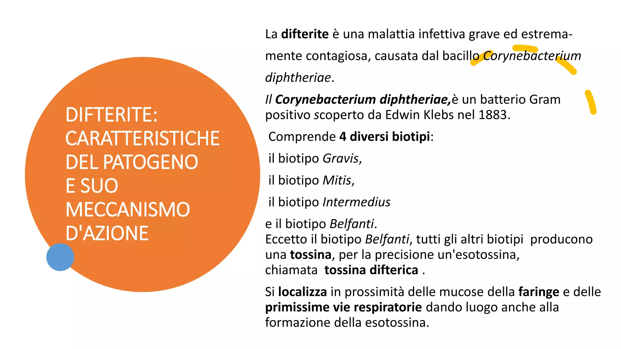 DIFTERITE Stefano Dell'Elce.pptx