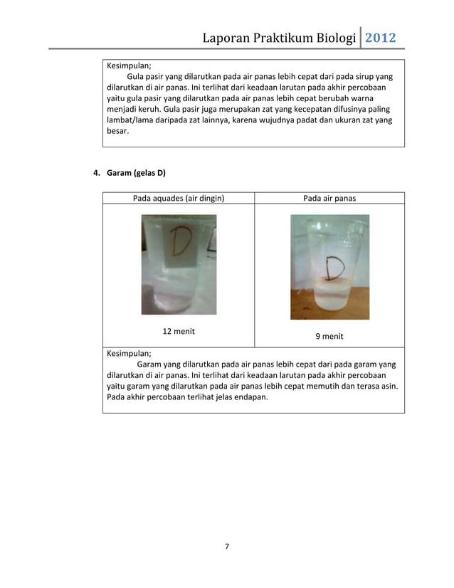 Laporan Praktikum DIFUSI | DOCX