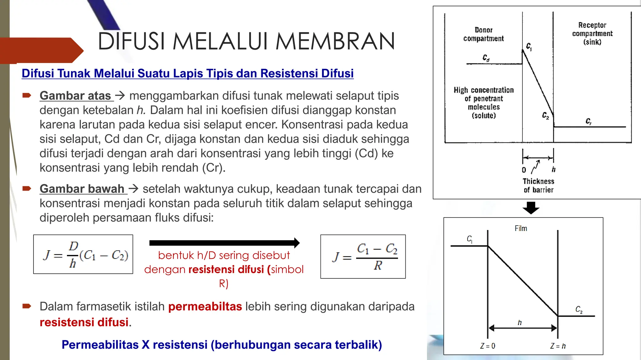 Fisika Farmasi difusi-disolusi ganjil 21-22.pdf