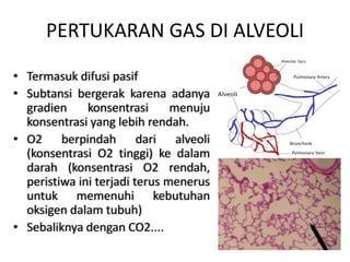 Difusi dan disolusi. Arif budiman.pdf