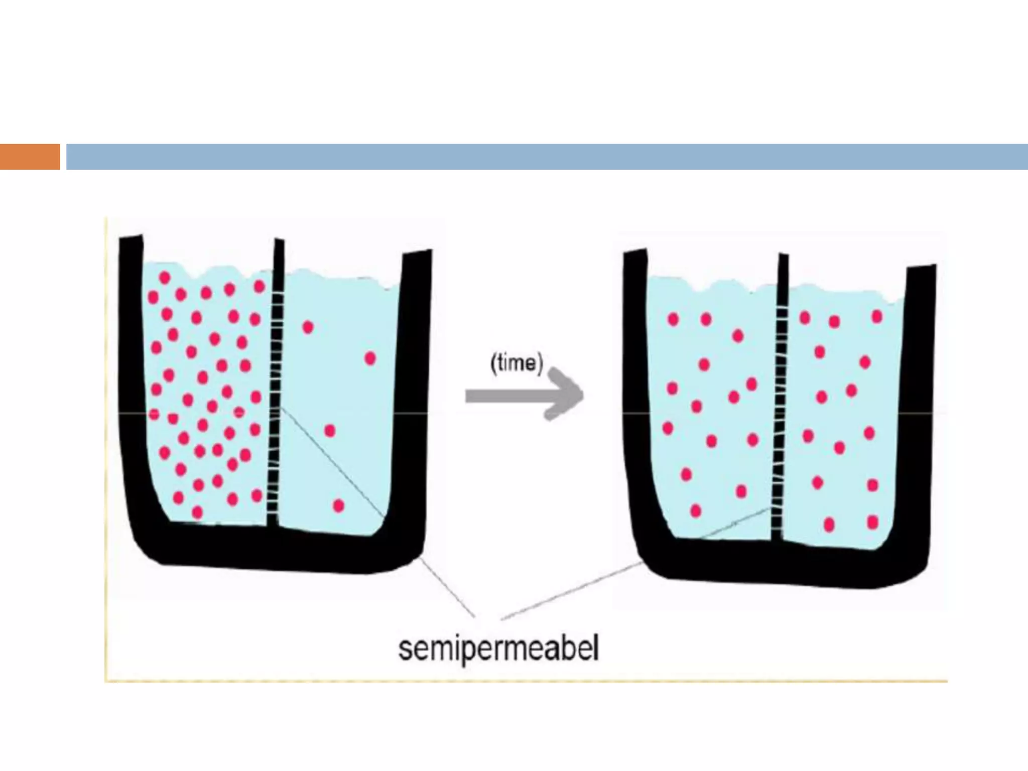 Difusi Farmasi Fisika 2020 | PPT