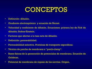 DIFUSIÓN Y PERMEABILIDAD. Fisiología General. LolaFFB | PPT
