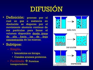 DIFUSIÓN Y PERMEABILIDAD. Fisiología General. LolaFFB | PPT