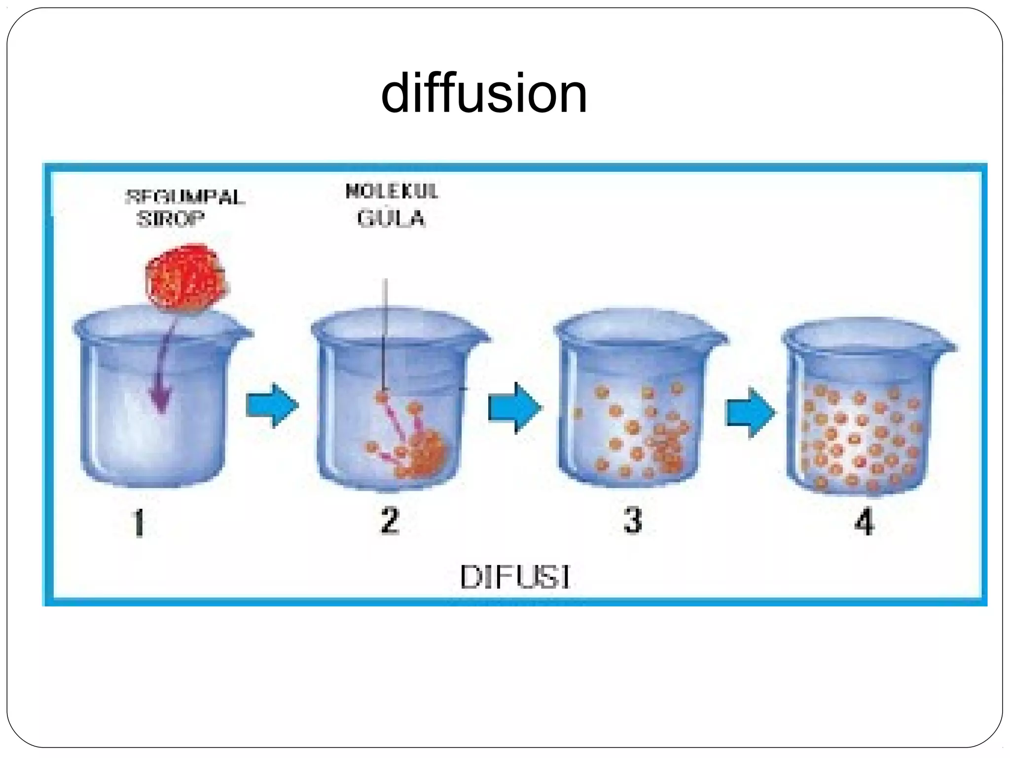 Grade 9 INTRA - Difusion, Osmosis, and Active Transport | PPT