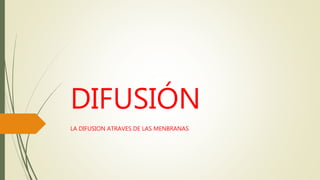 Difusion y osmosis | PPTX