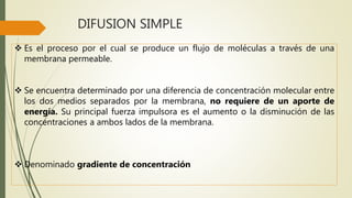 Difusion y osmosis | PPTX