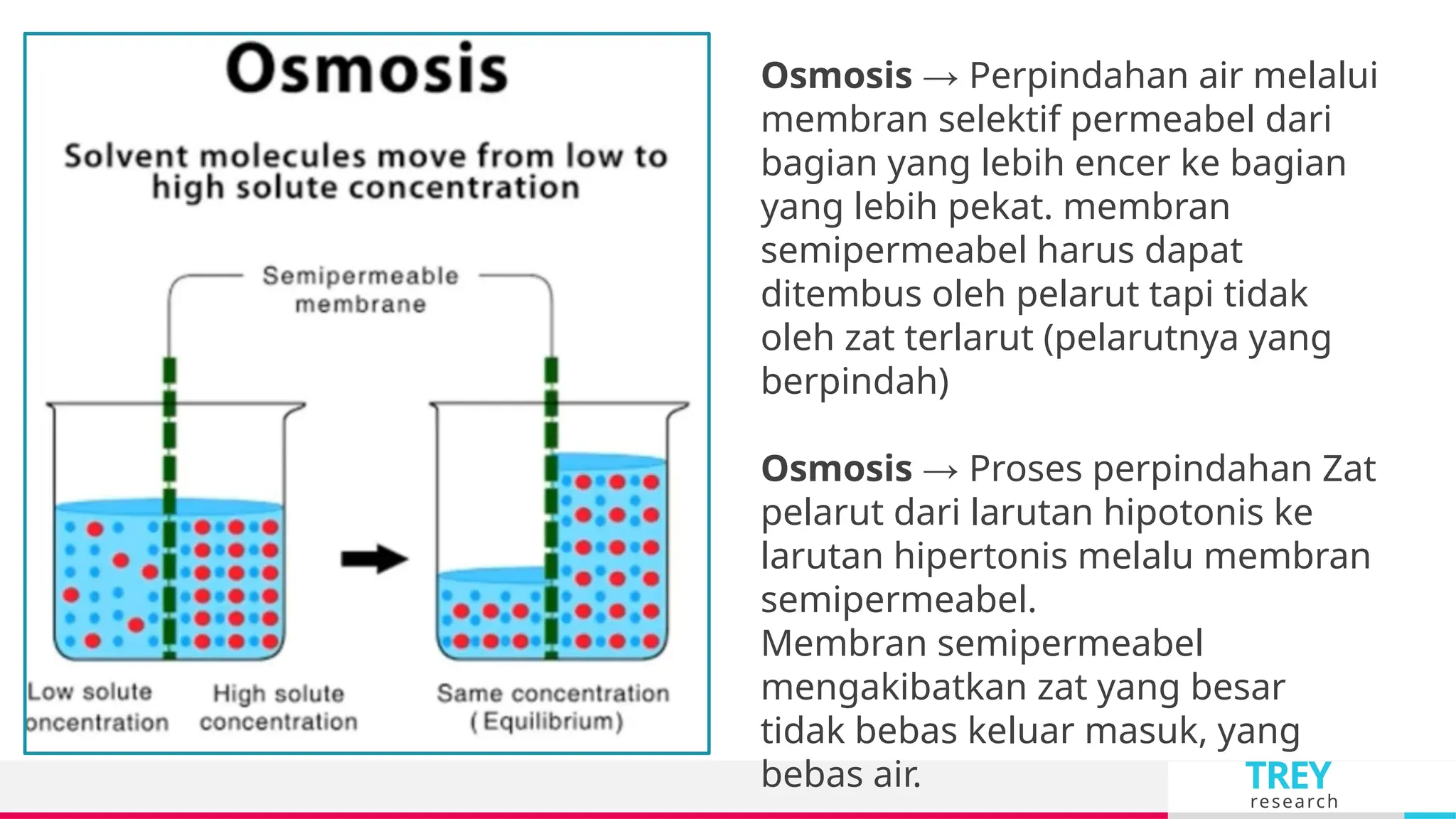 difusi osmosis merupakan proses dari mata kuliah fisiologi tumbuhan .pptx