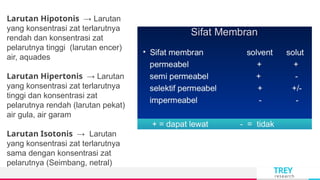 difusi osmosis merupakan proses dari mata kuliah fisiologi tumbuhan .pptx