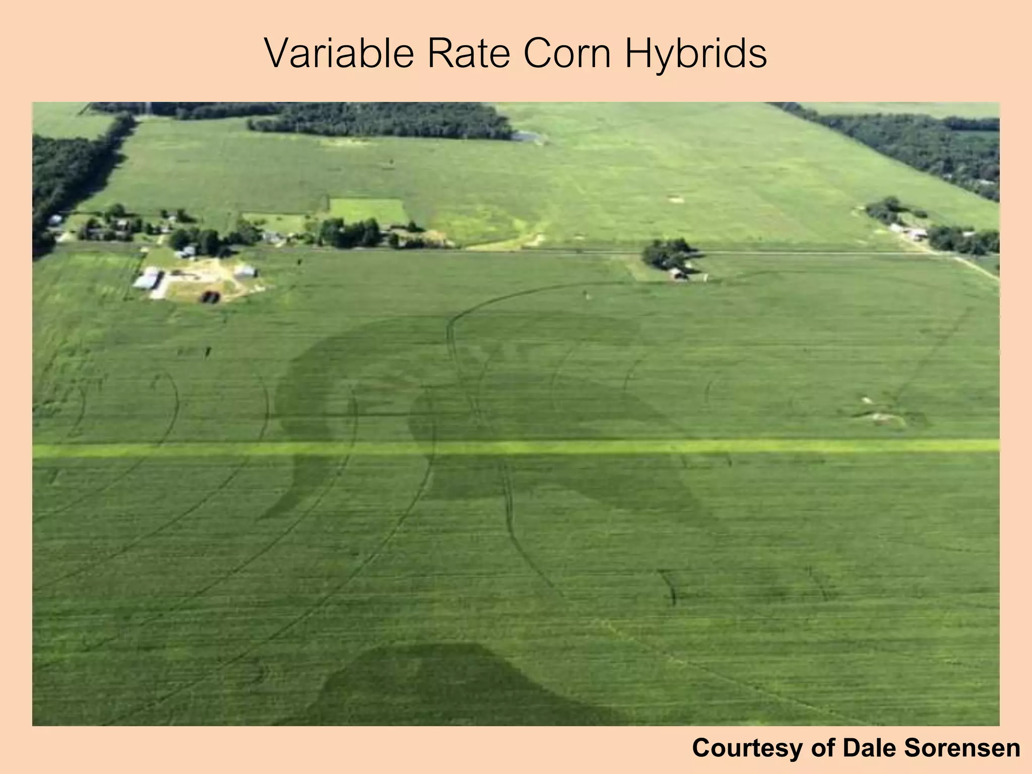 Digital Agriculture | PPT