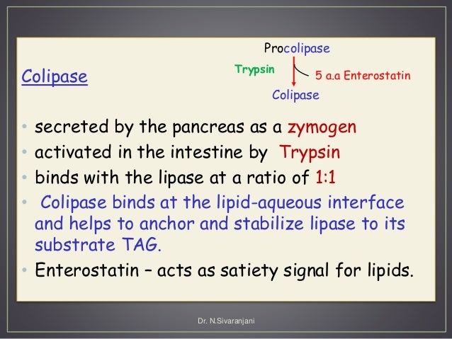 Dig and abs of lipids